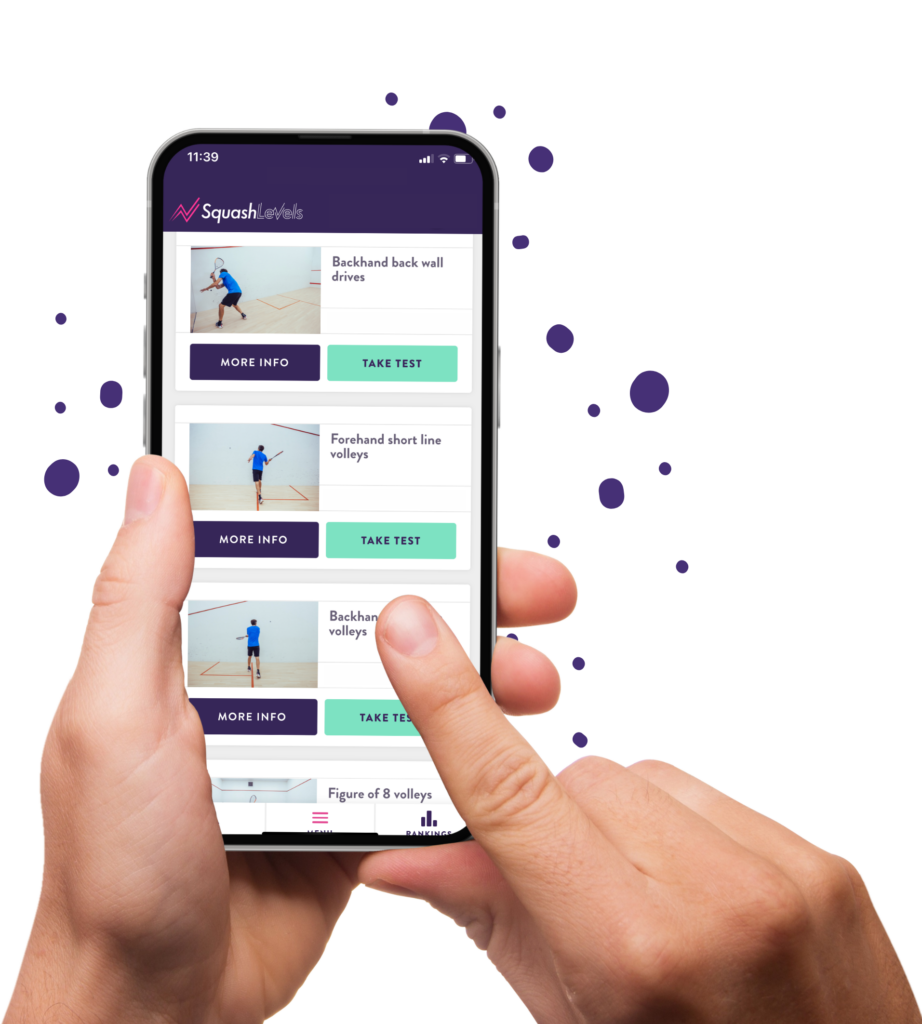 Testing - SquashLevels